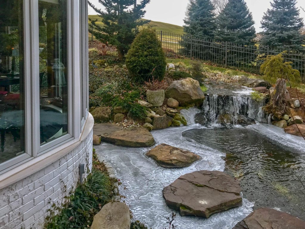 Should I Winterize My Pond? - Splash Supply Company