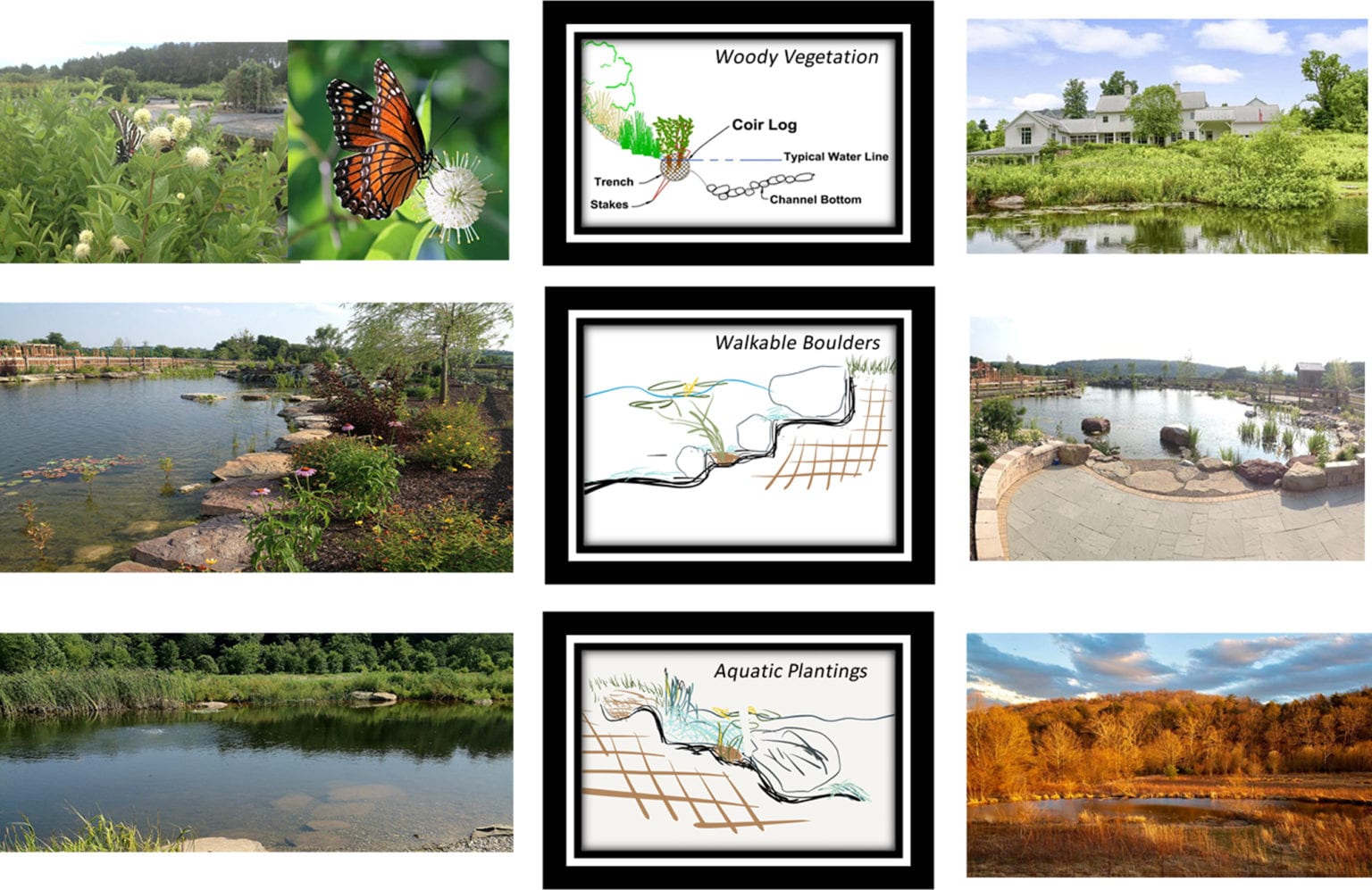 Natural Swimming Pools with Pond Boulders - Splash Supply Company