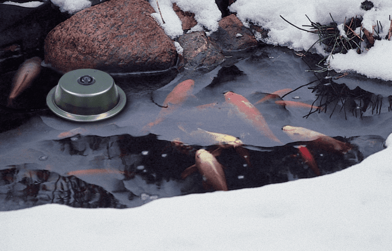 Pond De-icers: What They Are and How to Use Them - Splash Supply Company