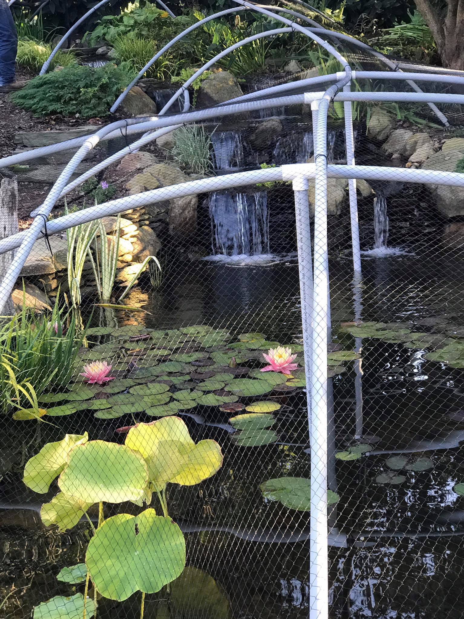 How Do I Keep Leaves Out of My Pond in the Fall? - Splash Supply Company