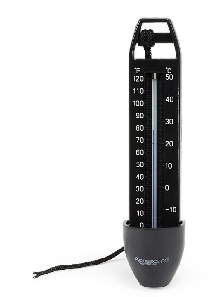 How to Take Care of Your New Splash Ecosystem Pond - Splash Supply Company