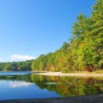 How to Get Rid of Lake Sludge and Algae - Splash Supply Company