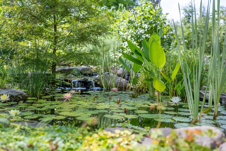 3 Ways to Deal with Spring String Algae - Splash Supply Company