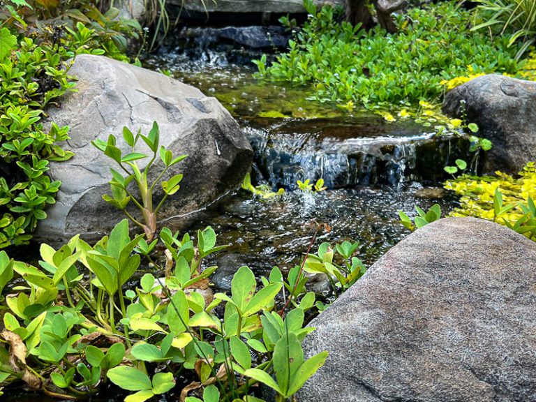 How to Take Care of Your New Splash Disappearing Waterfall - Splash ...