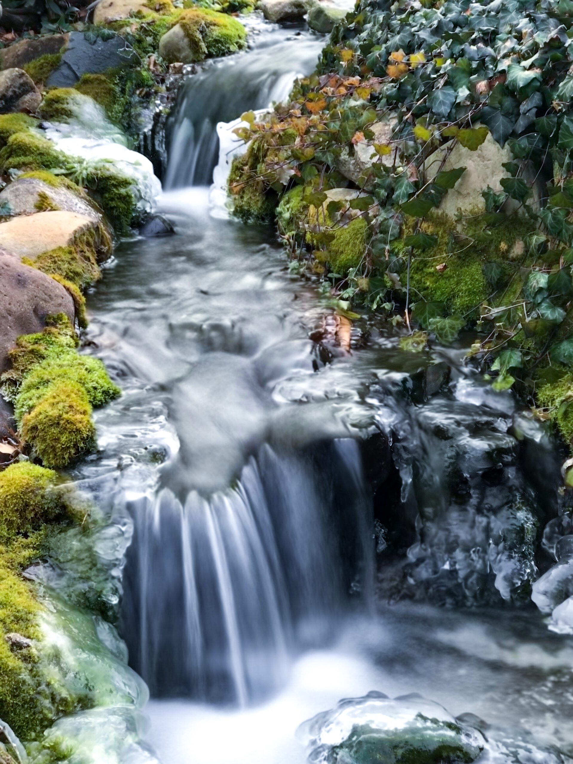 How to Keep Fish Alive and Maintain Your Winter Pond: A Complete Guide ...