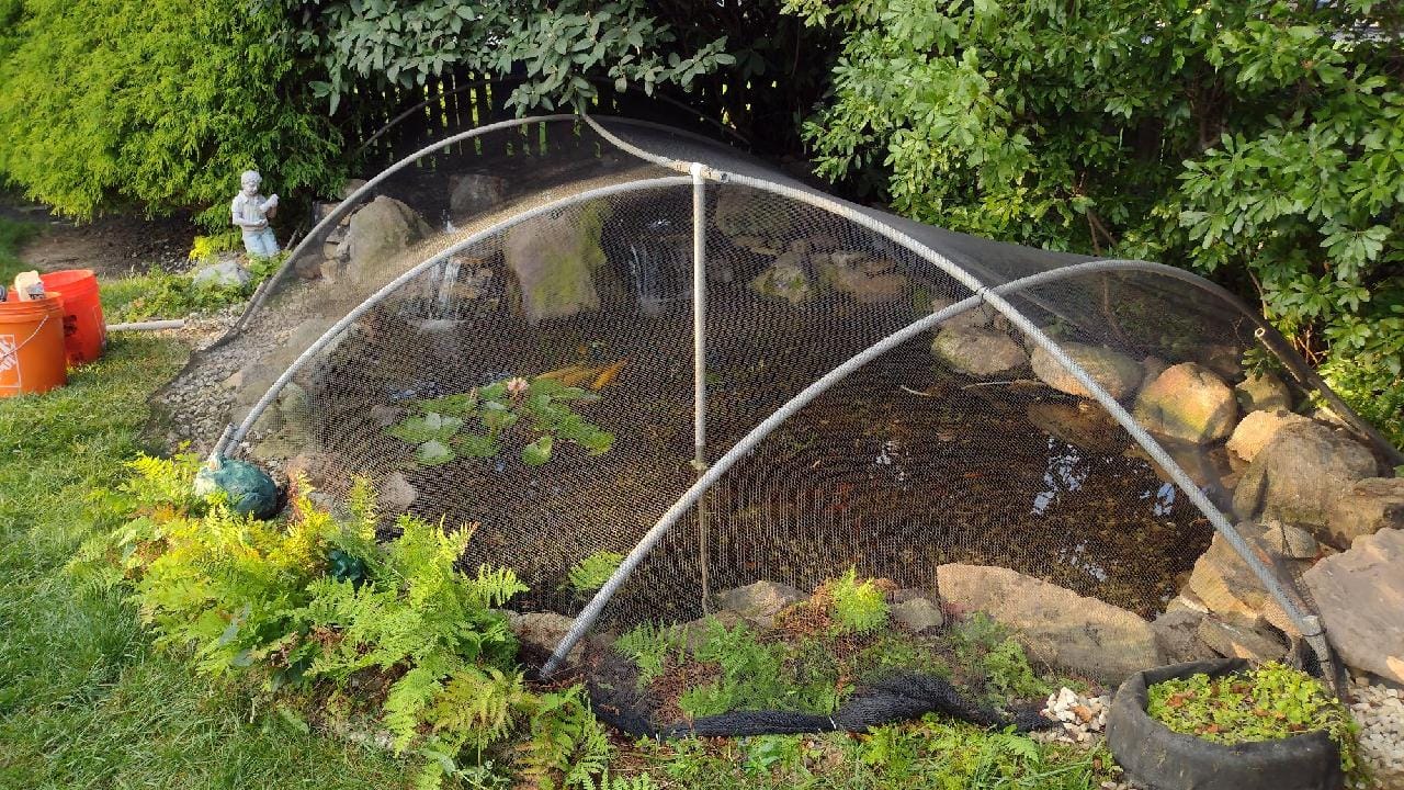 How to Install Nature-Friendly Pond Netting - Splash Supply Company